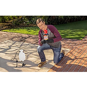 Spectracide Weed and Grass Killer with Extended Control Concentrate, 32 Ounces, with Accumeasure System (Case of 6)