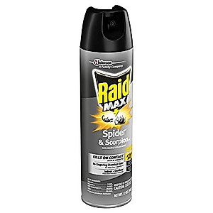 Raid Max Max Spider & Scorpion Killer - 12 oz - 2 pk