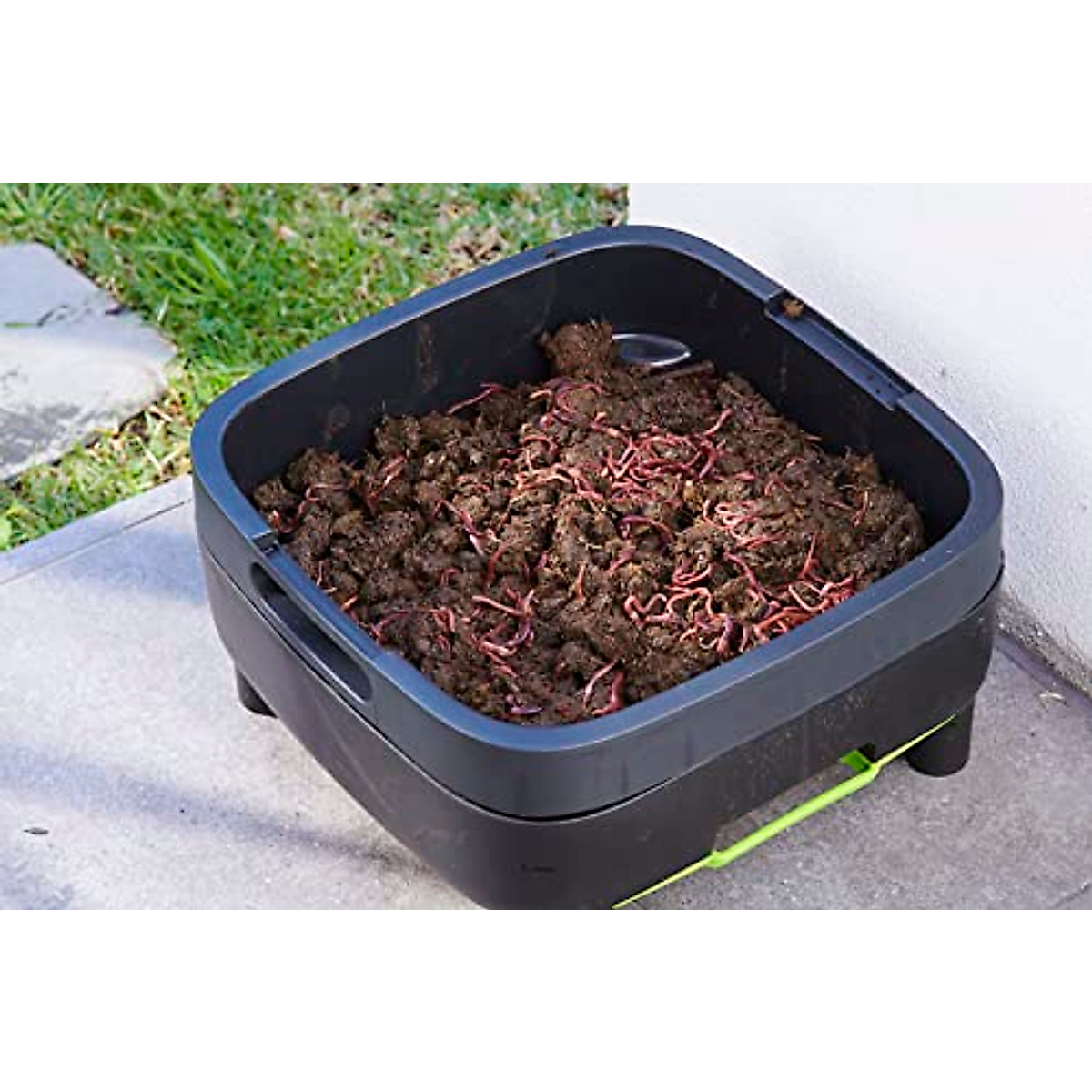 MAZE Two Level Worm Farm Compost Bin