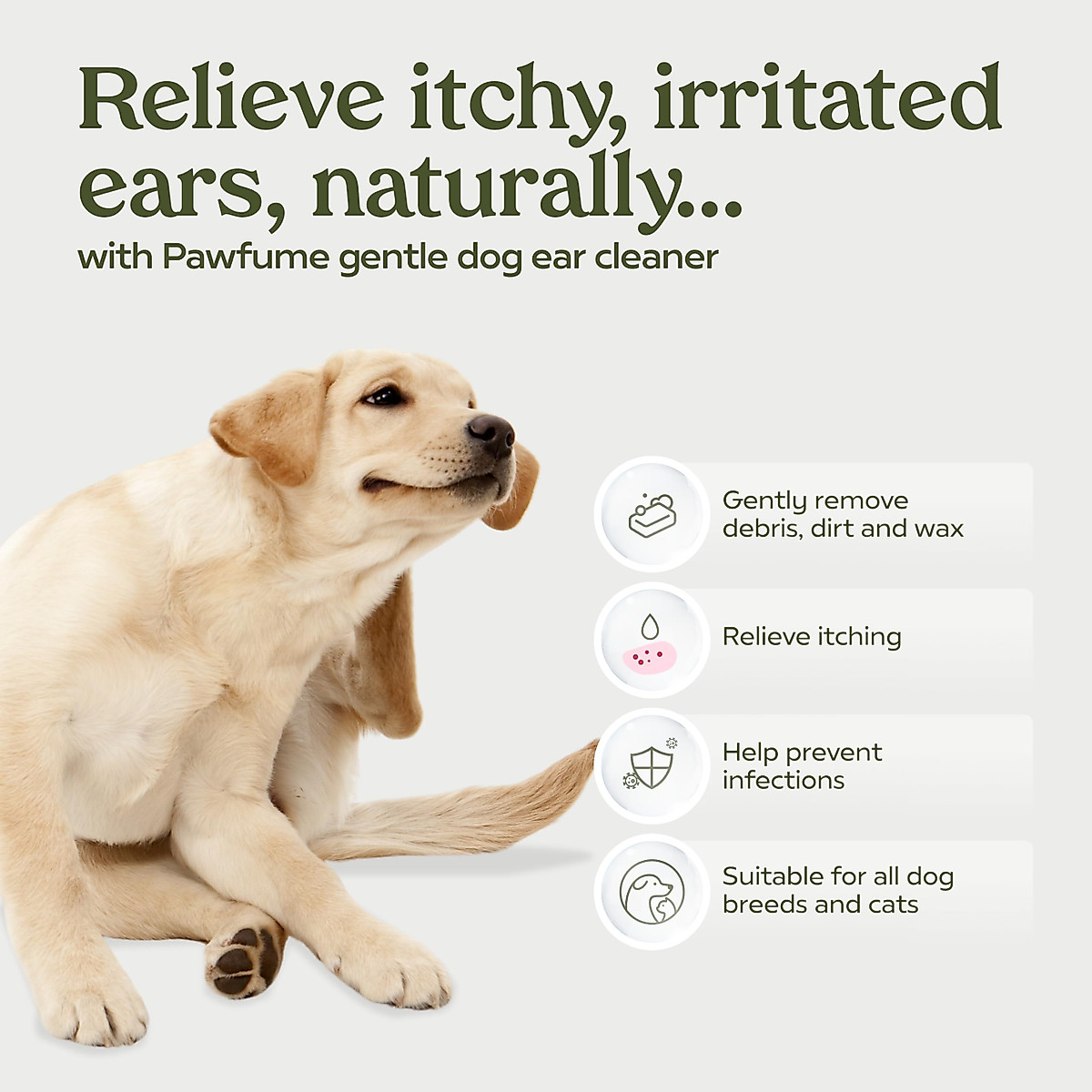 Pawfume Gentle Ear Cleaner for Dogs – Natural Dog Ear Cleaner Solution – Ear Wax Cleaner for Dogs Ear Treatment for Dogs – Dog Ear Wash Ear Cleaning Solution for Dogs – Dog Ear Wash Cleaner
