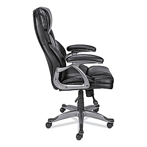 Alera ALEBN41B19 18.11 in. - 22.05 in. Seat Height Birns Series High-Back Task Chair Supports Up to 250 lbs. - Black Seat/Back, Chrome Base