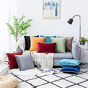 GAWAMAY Set of 2 Fall Decorative Solid Soft Velvet Gold Throw Pillow Covers with Chenille Edge Boho Accent Square Green Cushion Case for Couch Sofa Living Room Beding Outdoor 16 x 16 Inch (40x40cm)