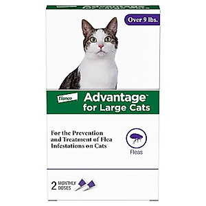 Advantage Topical Cat Flea Treatment and Prevention for Large Cats Over 9 lbs. | Apply Flea Drops Monthly | 2 Treatments