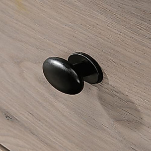 Sauder Miscellaneous Home Office Desk, Laurel Oak Finish