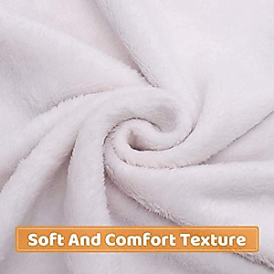 Cheese Pizza Blanket 270 GSM Digital Printing Adult and Child Flannel Blanket with Soft and Comfort Texture