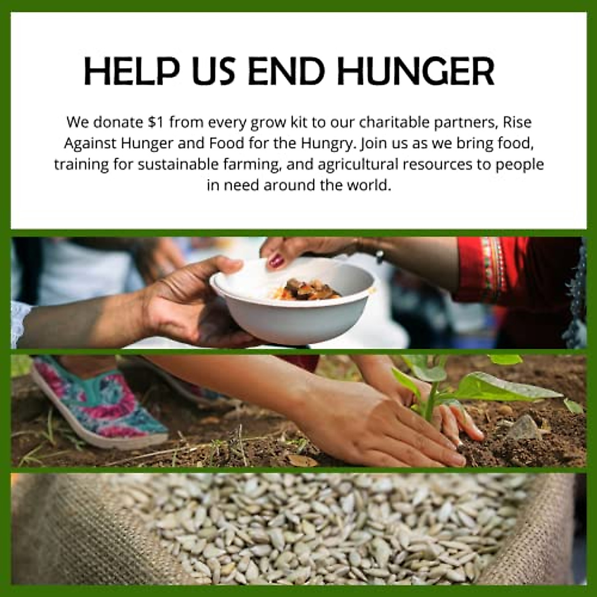 Awake Farms Indoor Herb Garden Seed Starter Kit – Indoor Grow Kit with Bamboo Pots, Soil Discs, Moisture Meter, Plant Markers, Seeds - Herb Seeds Variety Pack Indoor – Ideal for Balcony, Windowsill