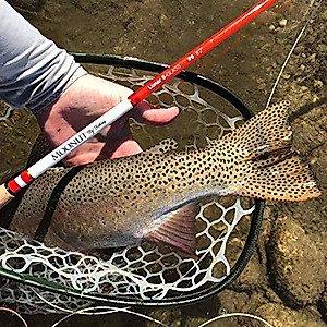 6wt Moonlit Lunar S-Glass Fiberglass Fly Fishing Rod (8' 2", 4 Piece, Orange)