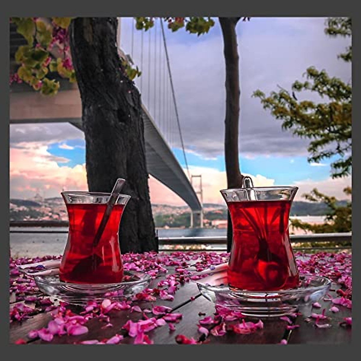 UMS Turkish Tea Glass Set - Slim Waist Design and Thick Sole Prevent Tea From Getting Cold, Easy to Keep for 6 People, 6 Saucers, 6 Glasses, Useful Tea Set (12 Pieces)