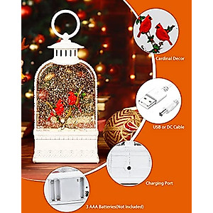 Christmas Cardinal Snow Globes,Musical Lighted with 6H Timer Swirling Glitter, Christmas Decoration Snow Globe Lantern, Red Bird Cardinal Gifts Christmas Decoration Indoor for Home