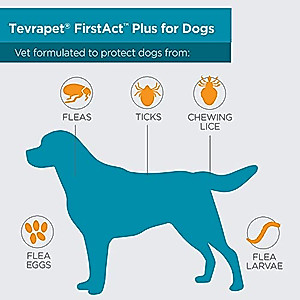TevraPet FirstAct Plus Flea and Tick Prevention for Small Dogs 6-22 lbs, 3 Monthly Doses, Topical Drops