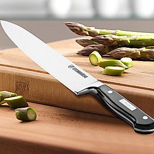 STEINBRÜCKE Chef Knife 10 Inch, Sharp Kitchen Knife Forged from German High Carbon Stainless Steel with Ergonomic Handle and Full Tang, Versatile Cooking Knife for Home Gourmet Restaurant