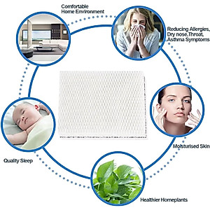 VUIUKOYE 2-Pack Humidifier Filter Replacement fit for Vornado MD1-0002 Humidifier