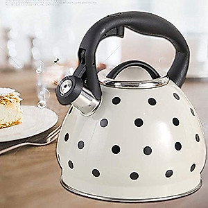 Tea Kettle Stovetop Whistling Teapot Stainless Steel Whistling Kettle 3L Whistling Teapot Water Kettle Boiling Kettle With Heat Insulating Handle Whistle Kettle Stove Top Kettle (Color : Red, Size :