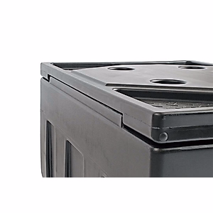 DEE ZEE DZ6537P Poly Plastic Storage Chest