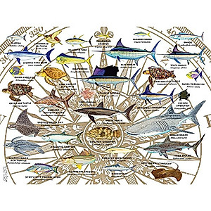 Tervis Made in USA Double Walled Guy Harvey Insulated Tumbler Cup Keeps Drinks Cold & Hot, 24oz, Charts