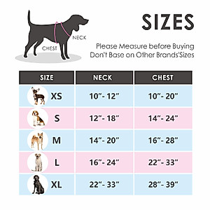 PHOEPET 2019 Upgraded No Pull Dog Harness, Reflective Adjustable Vest, with a Training Handle + 2 Metal Leash Hooks+ 3 Snap Buckles +4 Slide Buckles(L, Pink)