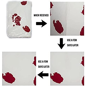 Sunset Beach Area Rug Folding Resistance Shells Starfish Floor Mat Sea Themed Anti-Slip Soft Carpet for Living Room Bathroom 79*63 Inches