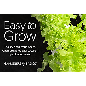 Hydroponic Seeds for Planting Planting Indoors and Outdoor 5 Variety Pack - Tatsoi, Kale, Buttercrunch, Romaine and Loose Leaf Lettuce Seeds by Gardeners Basics