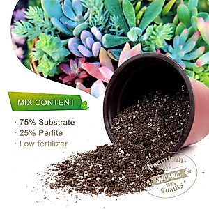 Organic Potting Soil, Cactus and Succulent Soil Mix, Professional Grower Mix Soil, Fast Draining Pre-Mixed Coarse Blend (2 Quarts)