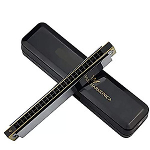 WAAZVXS 6624S Harmonica 24 Hole Brass Reeds Blues Harp Mouth Organ Key C ABS Comb Music Instruments Silver (Color : Key E)