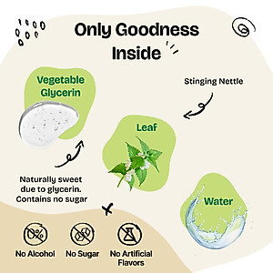 Stinging Nettle Leaf for Dogs - Itchy Skin Relief for All Breeds & Sizes - Liquid Dog Food Supplements for Soothing Skin Irritation & Itching - Herbal Skin and Coat Supplement for Pets - 2 oz