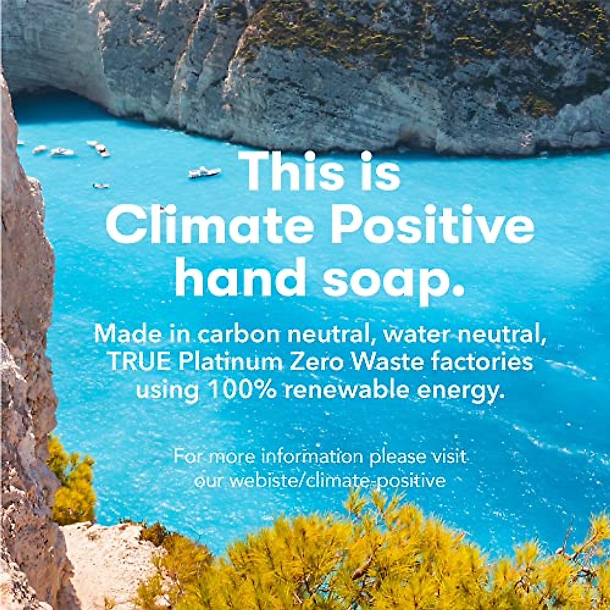 ECOS Hypoallergenic Hand Soap - All Natural pH-Balanced Handwash Soap with Vitamin E - Safe for Sensitive Skin - Lavender - 17 Oz Bottle (6 pack)