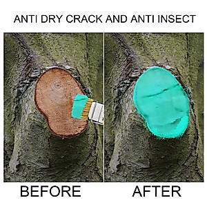 Garden Bonsai Plant Healing Paste, Tree Wound Pruning Sealer Bonsai Pruning Cutting Paste, Plants Wound Dressing for Garden Plant Grafting and Wound Treatment, Help Trees Recover Quickly ,30g