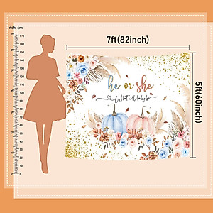 Mocsicka Pumpkin Gender Reveal Backdrop Autumn Fall Pumpkin Baby Shower Party Decorations Boy or Girl Thanksgiving Pumpkin Gender Reveal Party Cake Table Banner (Blue/Pink, 8x6ft(96''x72''))