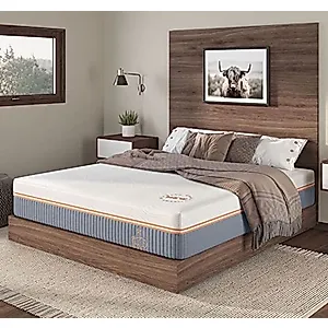 Nest & Wild Mattress Plush 12 Inch | Made in The USA | 100% Fiberglass-Free Cool Touch Cover | Ventilated Memory Foam | Bed in a Box | CertiPUR-US & OEKO-TEX100 Certified Foams (King)