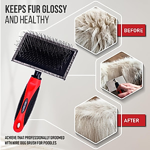 Bixy Pixy Slicker Brush for Dogs With Coated Tips - Extra Long Pins Removes Tangles - Doodle and Goldendoodle Brush Goes Deep Into Undercoat - Golden Retriever Brush for Shedding - Cepillo Para Perros