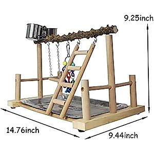 PINVNBY Bird Playground Birdcage Playstand Pet Bird Perch Platform Stand Parrot Play Gym Parakeet Cage Decor Budgie Perch Stand with Feeder Seed Cups Ladder Chew Toys for Small Animals Parrot Parakeet