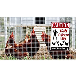 Bestylez Area Patrolled by Chicken Lady - Crazy Chicken Lovers Gag Gifts - Funny Farm Yard Fence Chicken Coop Caution Sign Outdoor Decor 12" * 8" (052)