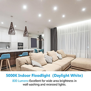 dalattin 12 Pack BR30 LED Bulbs 65W Equivalent, Dimmable Indoor Flood Lights 5000K Daylight White, 9W, 800 Lumens, E26 Base, LED Recessed Light Bulb for Living Room, Bedroom, Bathroom, Kitchen