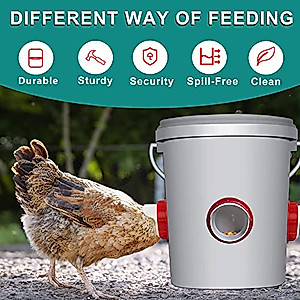 ZenxyHoC Chicken Feeders No Waste, DIY Automatic Poultry Feeder 4 Ports 1 Hole Saw with Covers Gravity Feed Kit for Buckets Barrels Bins Troughs