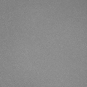 Bialetti 10" Ceramic Pro Non-Stick Hard Anodized Aluminum Frying Pan, Gray