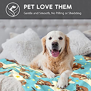 Throw Blanket for Couch, Cozy Warm Plush Fleece Throw Blanket for Adults and Kids, Ultra-Soft Flannel Blanket Decorative Fuzzy Throws for Sofa Bed Dorm, All Season 50x60 in (Sloth)