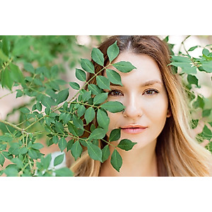 Cosmedica Skincare Retinol Night Cream - Daily Moisturizing Facial Lotion Night Cream. The best Retinol Cream with Vit A and Hyaluronic Acid to target skin concerns from Acne to Wrinkles (1.7oz)