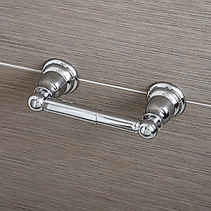 Amazon Basics AB-BR834-PC Classic Spring Toilet Paper Holder, Polished Chrome