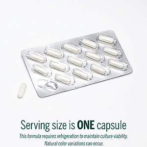 Genestra Brands HMF Intensive | Four Strains of Probiotics to Support Intestinal Health, Abdominal Comfort, and Healthy Microflora* | 30 Capsules