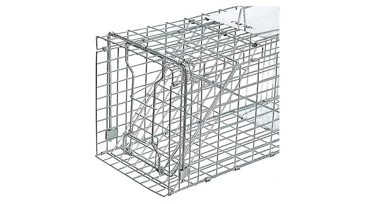 Humane 32" Animal Trap for Cats & Small Animals