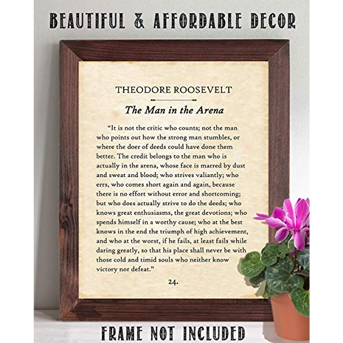 The Man In The Arena by Theodore Roosevelt - 11x14 Unframed Typography Book Page Print - Great Inspirational Gift and Men's Wall Decor for History Buffs