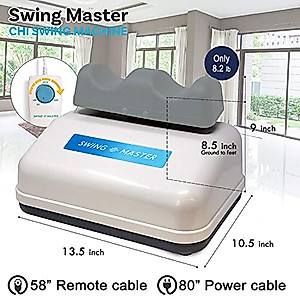 Daiwa Felicity Original Chi Swing Machine USJ-201 Passive Aerobic Exerciser Swing Master