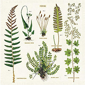 Ferns Cloth Napkin - Set of 4