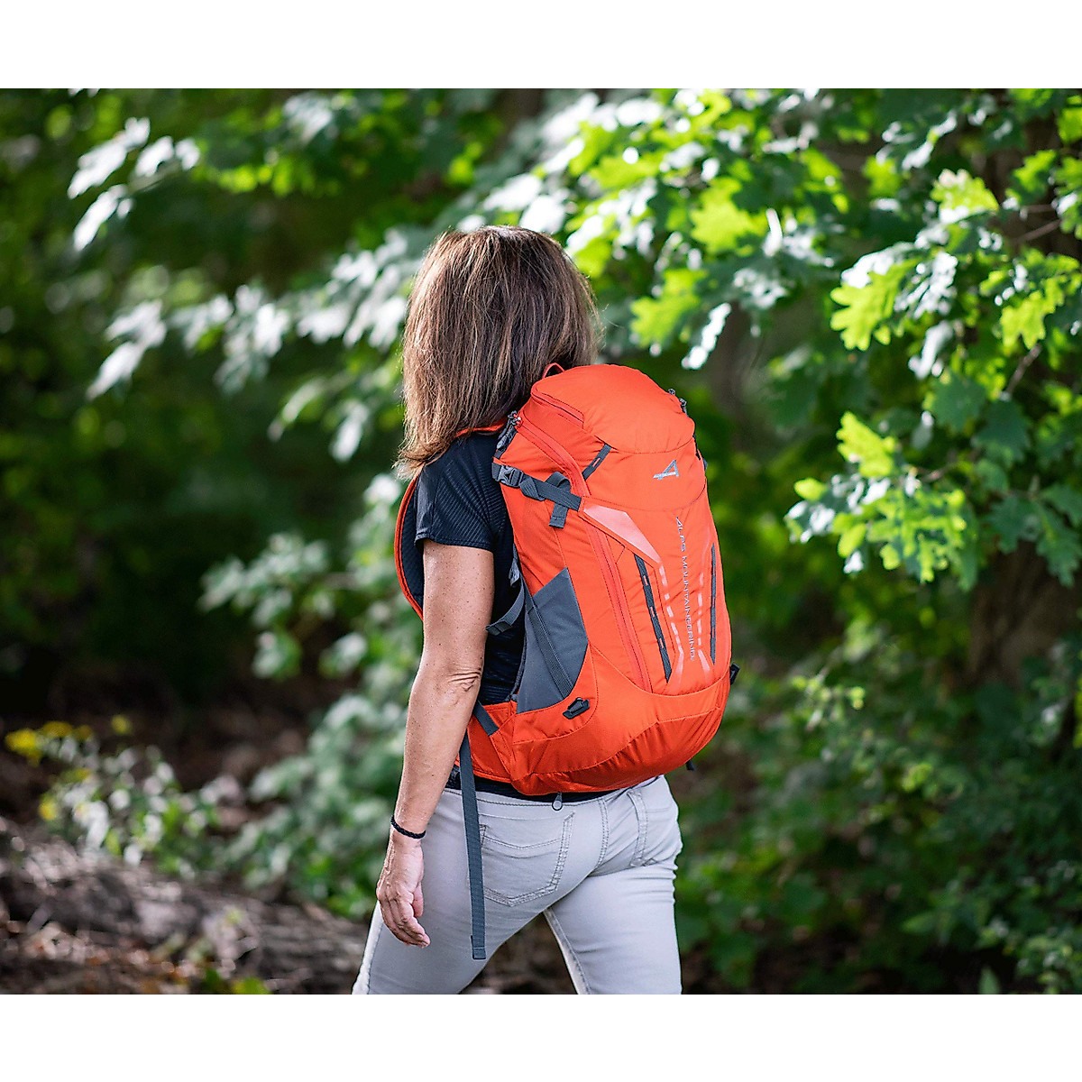 ALPS Mountaineering Baja Backpack, 20L, Chili/Gray