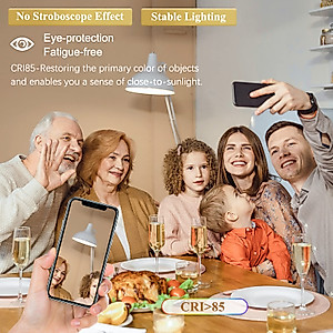 DiCUNO G4 LED Bulb 12V, JC Bi-Pin Base Light Bulbs 2W, Daylight White 6000K, 20W T3 Halogen Replacement Bulb for Landscape Light, Under Cabinet Light, Chandelier, Non-dimmable, Pack of 10