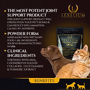 Lexelium Joint Supplement for Dogs & Cats - Chondroitin Sulfate, Turmeric, MSM, Glucosamine & Calcium for Healthy Bones & Optimal Skeletal Function - Optimal Joint Care to Help w/Arthritis- 200g