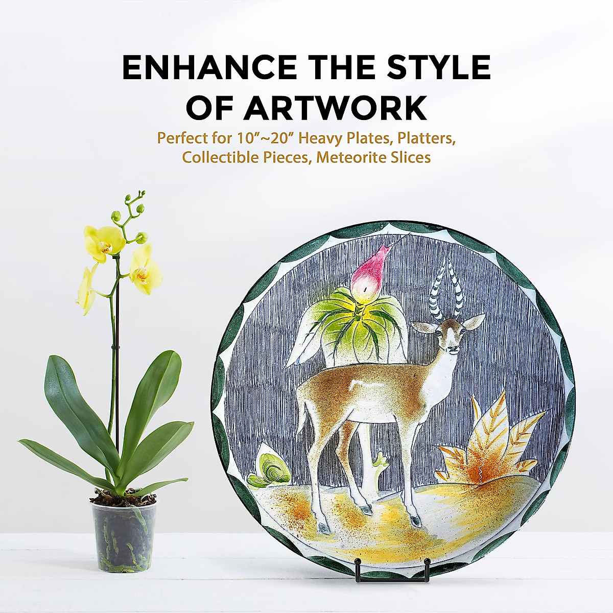 TR-LIFE 10 Inch Large Plate Stands for Display - Metal Plate Holder Display Stand + Picture Frame Holder Stand + Small Easels for Decorative Platter, Book, Plaques, Photo, Tabletop Art (2 Pack)