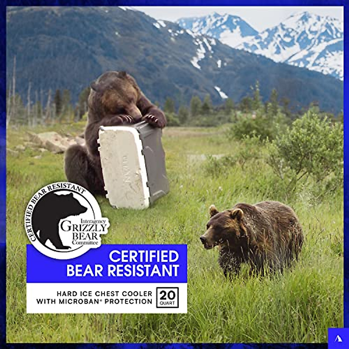 Arctic Zone Titan Deep Freeze 20Q Premium Ice Chest Roto Cooler with Microban Antimicrobial Protection, Gray