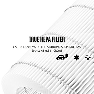 Nispira True HEPA Replacement Filter Compatible with M#14 Air Purifier Part MA14RB1 MA14RW1. 4 Packs