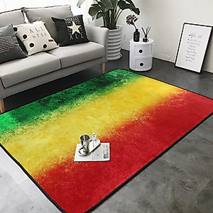 NiYoung Fast Dry Memory Foam Area Rugs with Non Skid Rubber Backing, Vintage Grunge Rasta Flag Color Art Throw Rugs Runner Indoor Entrance Area Rug for Bedroom Living Room Dining Home Office
